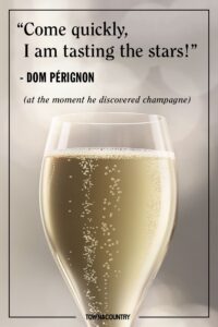 Champagne Memes - The Expensive Champagne Guide